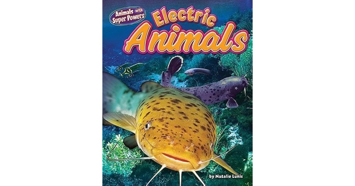 Electric Animals by Natalie Lunis