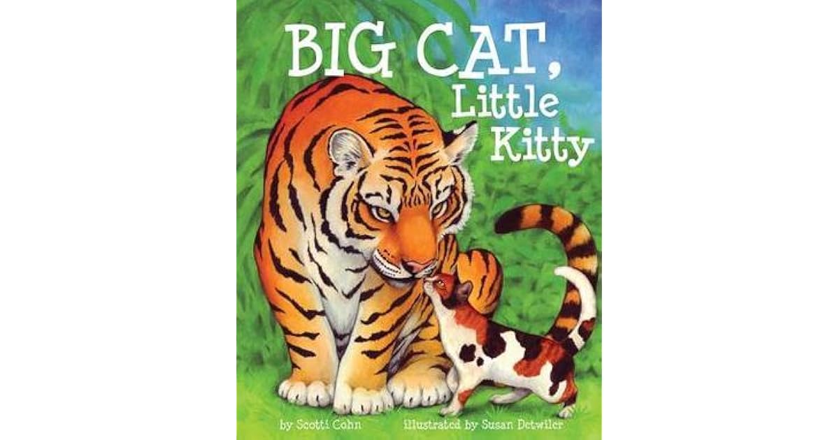 Big Cat, Little Kitty by Scotti Cohn