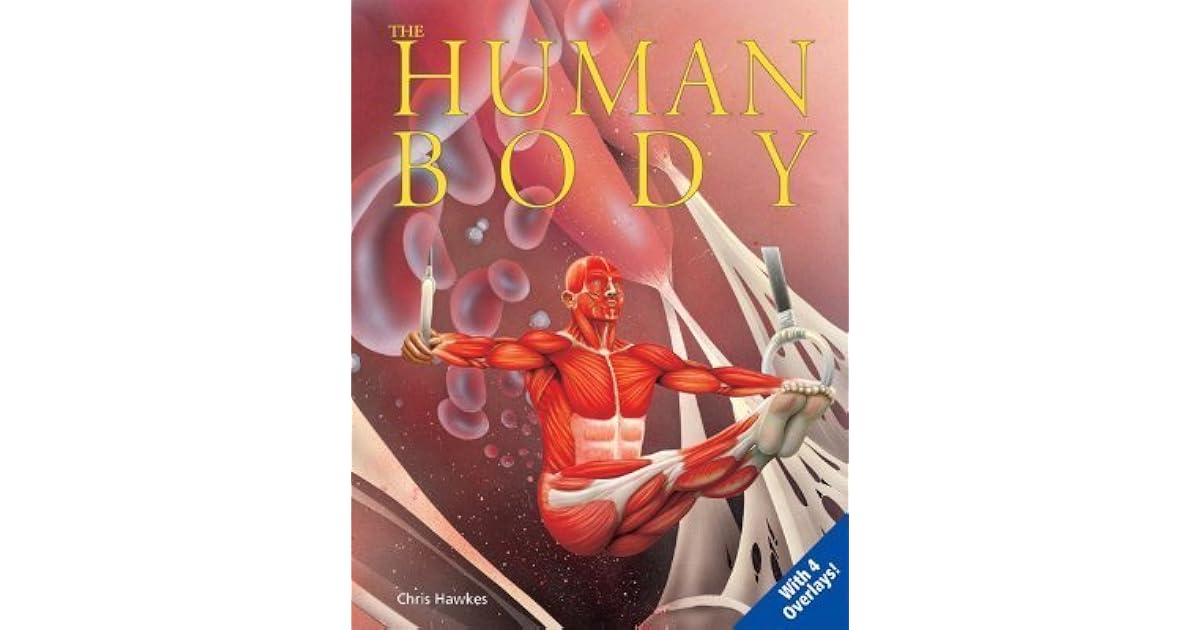 The Human Body: Uncovering Science by Chris Hawkes