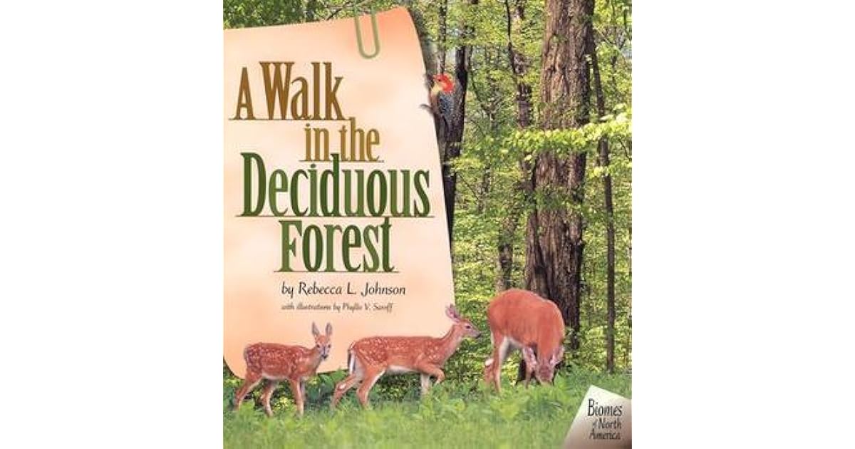 A Walk in the Deciduous Forest by Rebecca L. Johnson