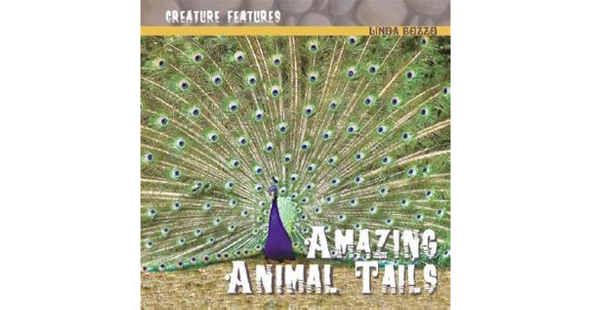 Amazing Animal Tails by Linda Bozzo