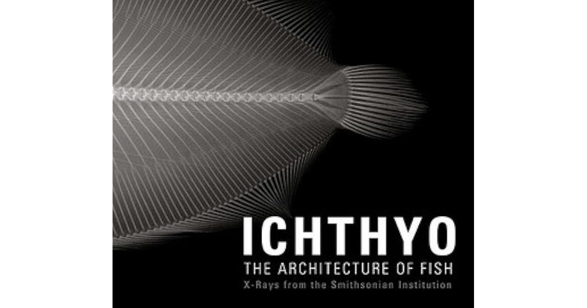 Ichthyo: The Architecture of Fish by Deborah Klochko