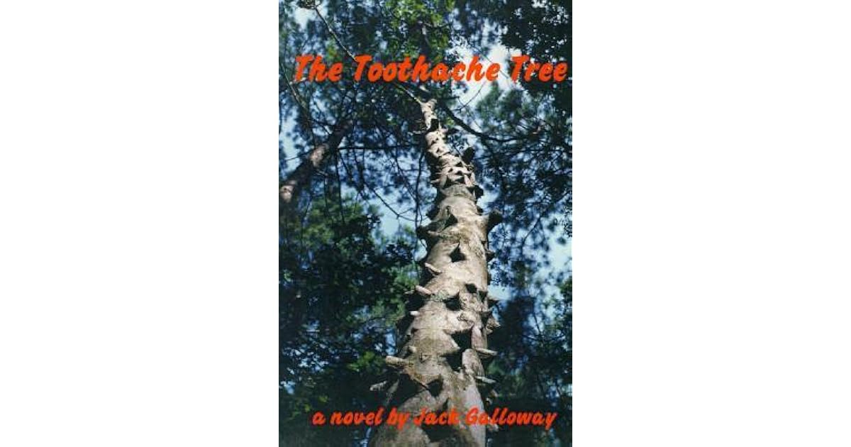 The Toothache Tree by Jack Galloway