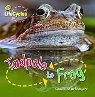 Tadpole to Frog by Camilla de la Bedoyere