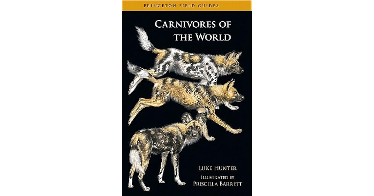 Carnivores of the World by Luke Hunter