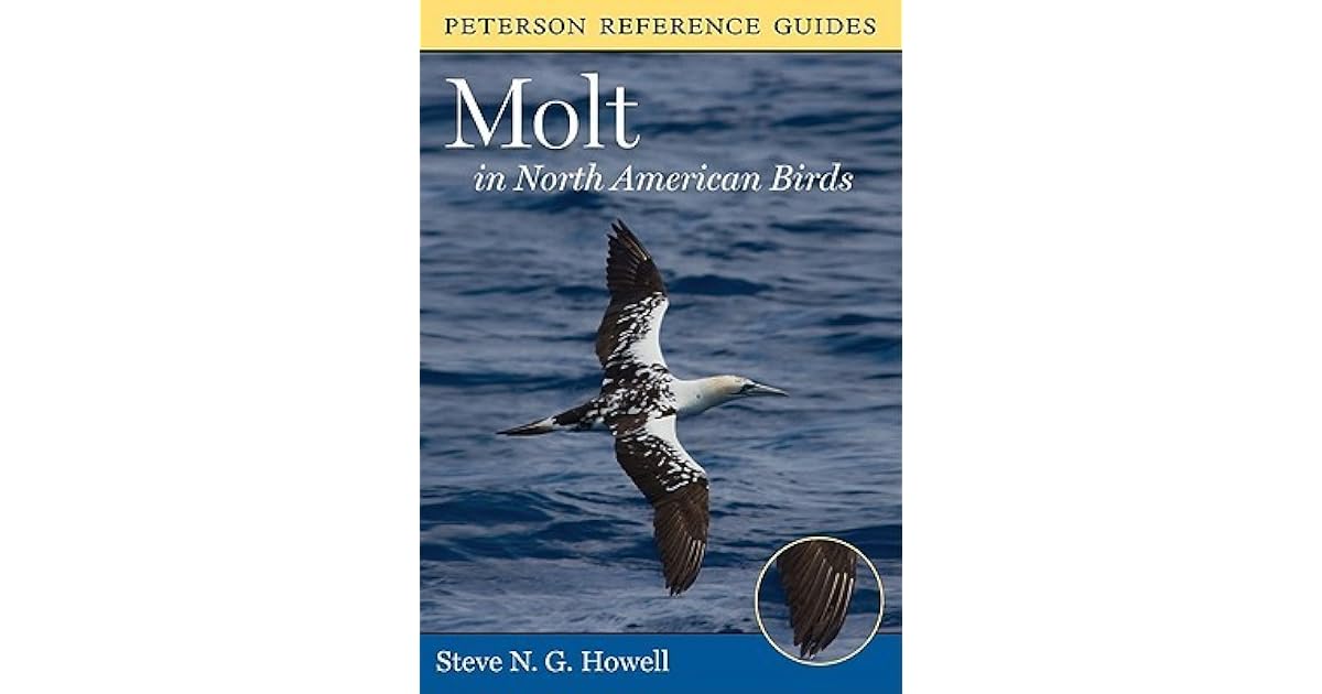 Molt in North American Birds by Steve N.G. Howell