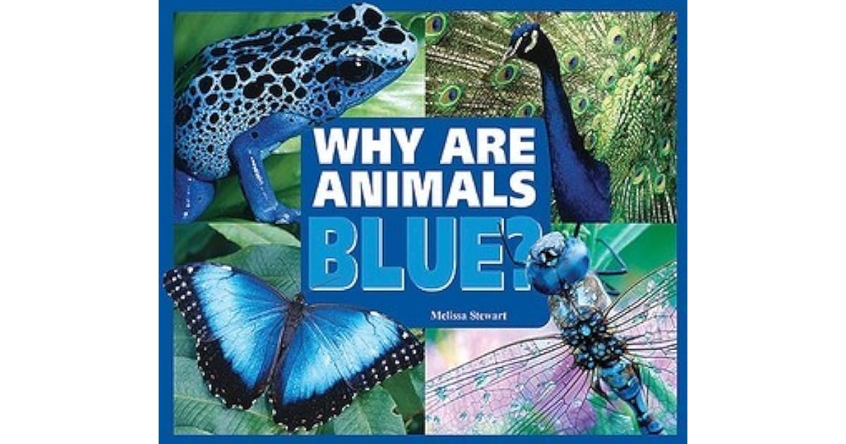 Why Are Animals Blue? by Melissa Stewart