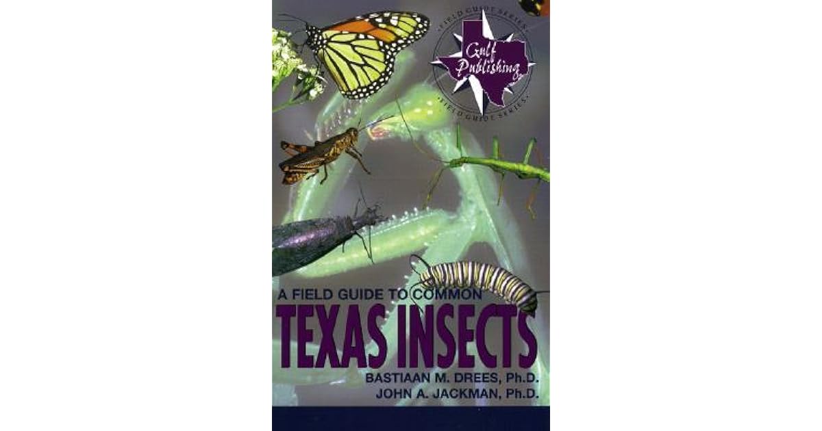 A Field Guide to Common Texas Insects by Bastiaan M. Drees