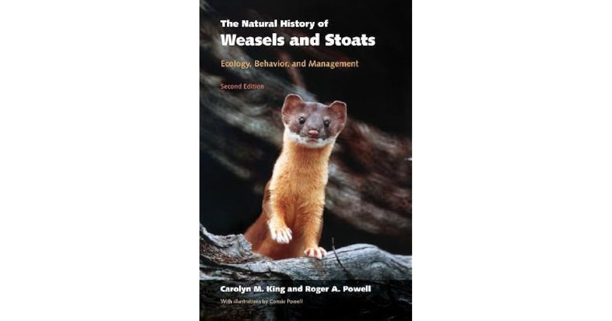 The Natural History of Weasels and Stoats: Ecology, Behavior, and ...
