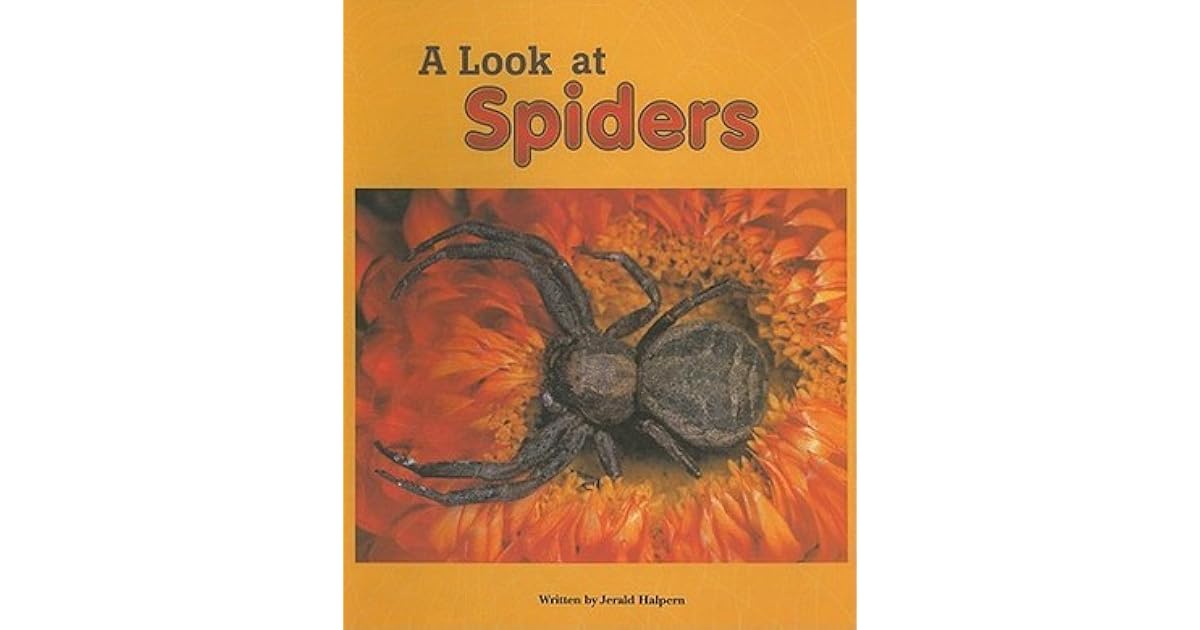 A Look at Spiders by Jerald Halpern