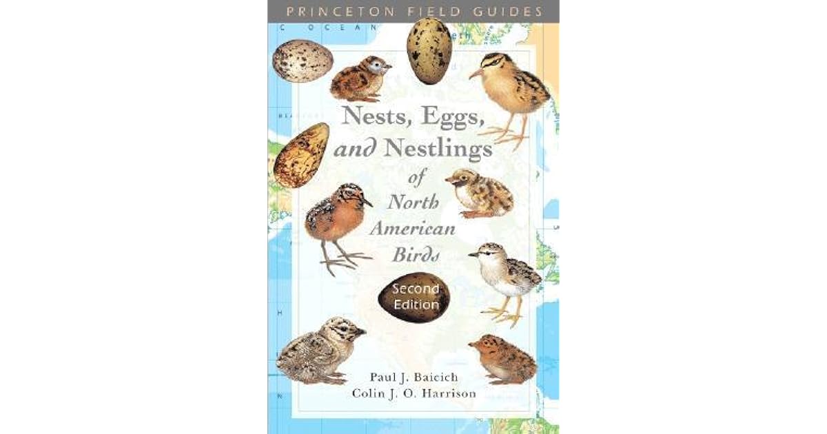 Nests, Eggs, and Nestlings of North American Birds by Paul J. Baicich