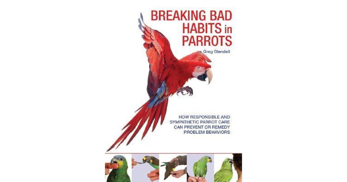 Breaking Bad Habits in Parrots: How Responsible and Sympathetic Parrot ...