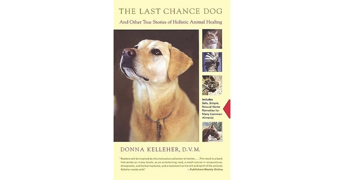 The Last Chance Dog: and Other True Stories of Holistic Animal Healing ...
