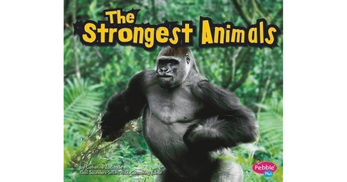 The Strongest Animals by Catherine Ipcizade