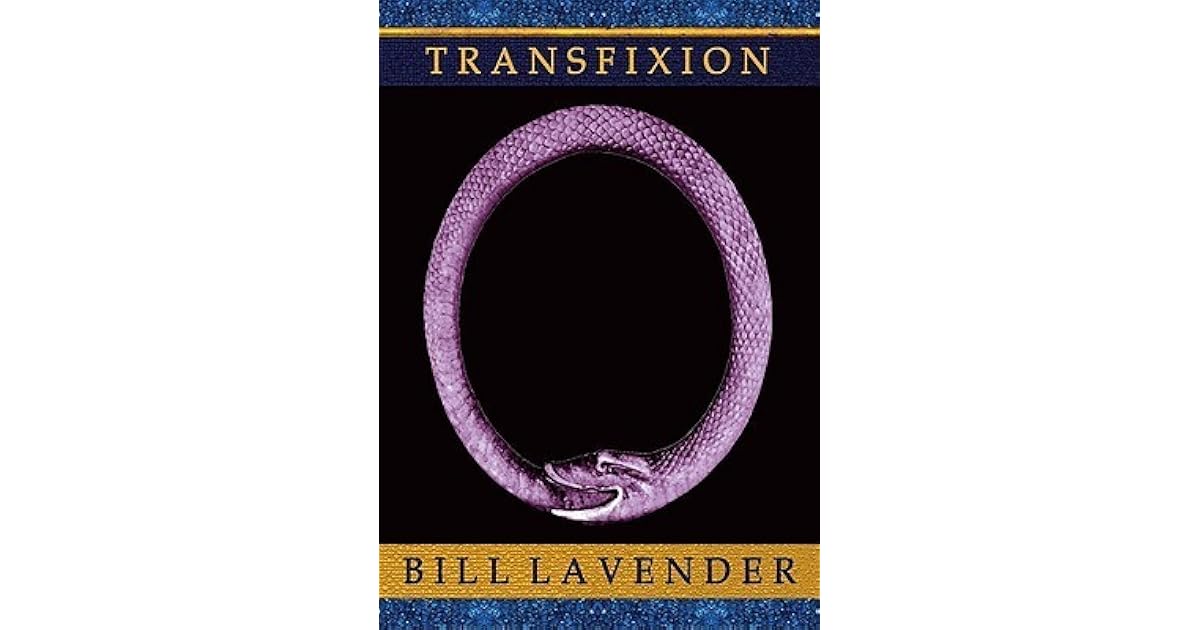 Transfixion by Bill Lavender
