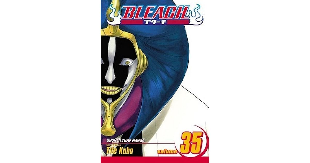 Bleach, Volume 35 by Tite Kubo