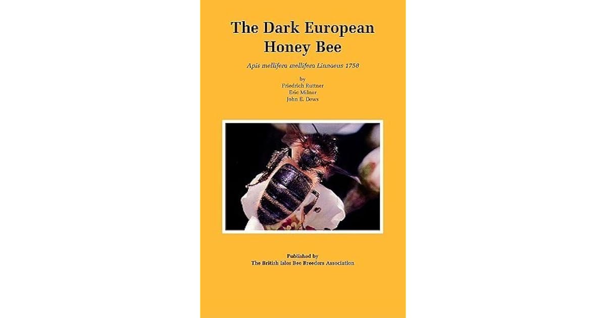 The Dark European Honey Bee by Friedrich Ruttner