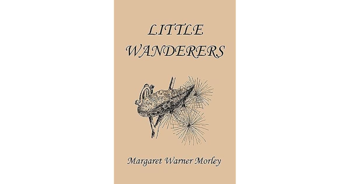 Little Wanderers by Margaret Warner Morley