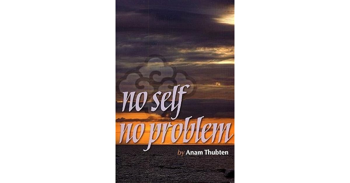 No Self No Problem: Awakening to Our True Nature by Anam Thubten
