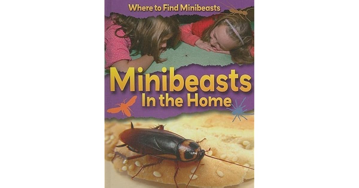Minibeasts in the Home by Sarah Ridley