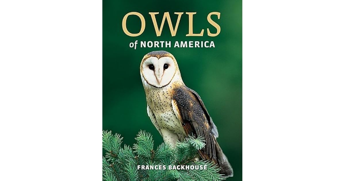Owls of North America by Frances Backhouse
