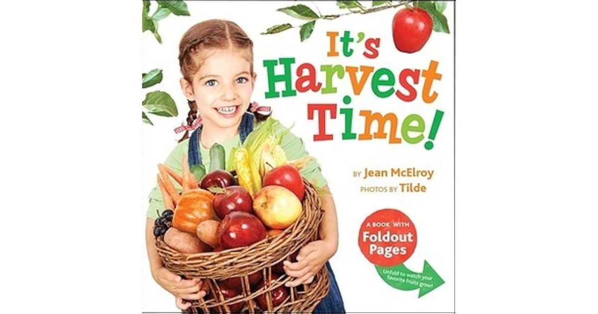 It's Harvest Time!: A Book with Foldout Pages by Jean McElroy