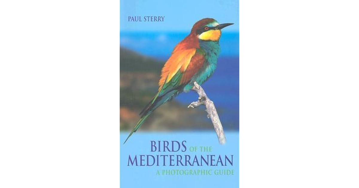 Birds of the Mediterranean: A Photographic Guide by Paul Sterry