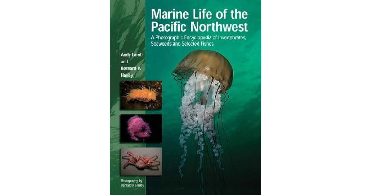 Marine Life of the Pacific Northwest: A Photographic Encyclopedia of ...