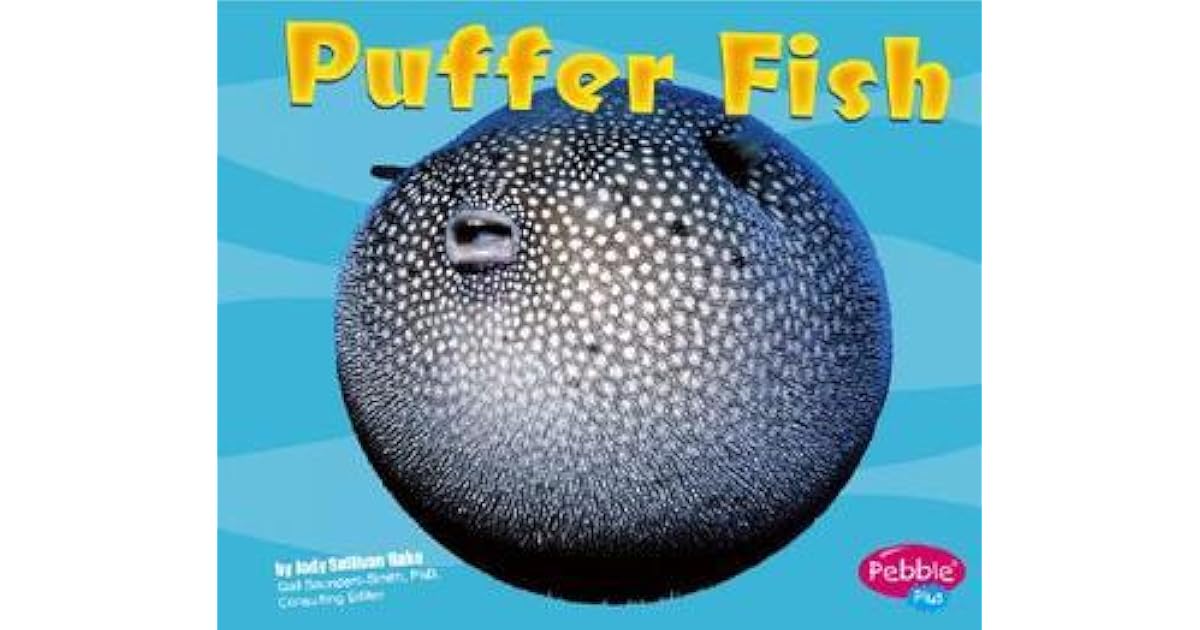 Puffer Fish by Jody Sullivan Rake