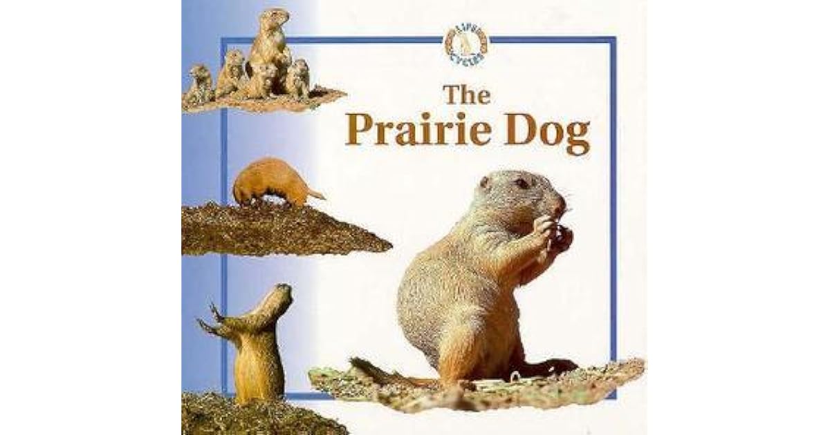 The Prairie Dog by Sabrina Crewe
