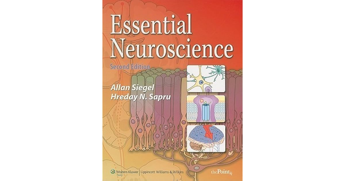 Essential Neuroscience by Allan Siegel