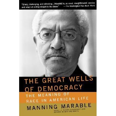The Great Wells Of Democracy: The Meaning Of Race In American Life by ...