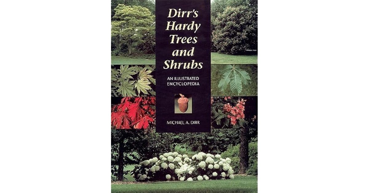 Dirr's Hardy Trees and Shrubs: An Illustrated Encyclopedia by Michael A ...