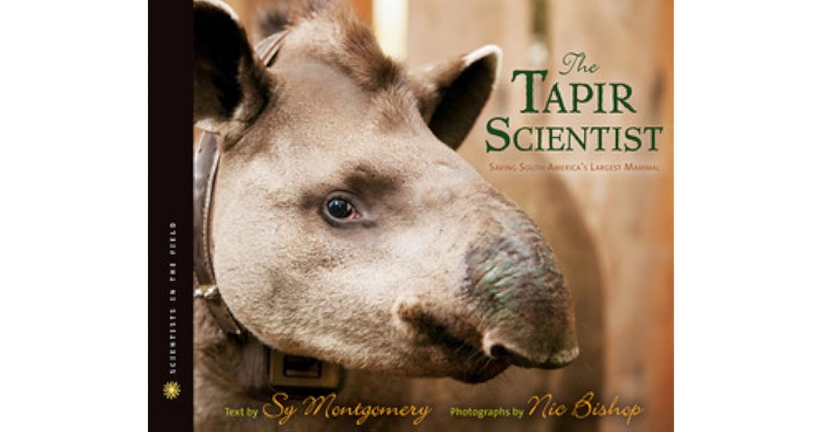 The Tapir Scientist: Saving South America's Largest Mammal by Sy Montgomery