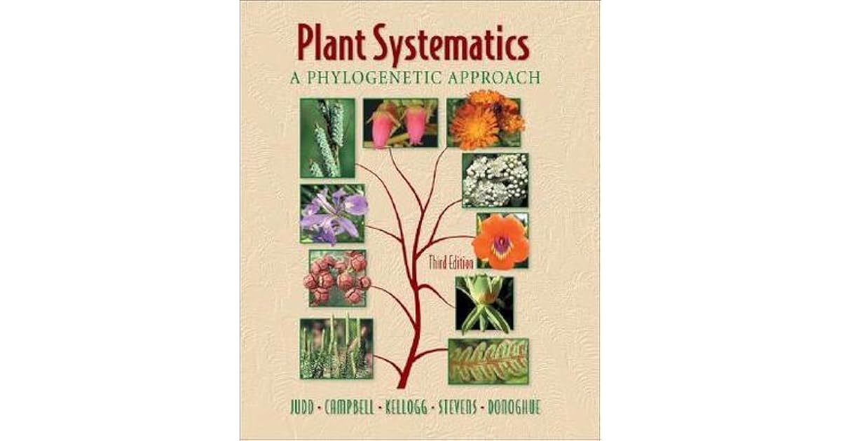 Plant Systematics: A Phylogenetic Approach by Walter S. Judd