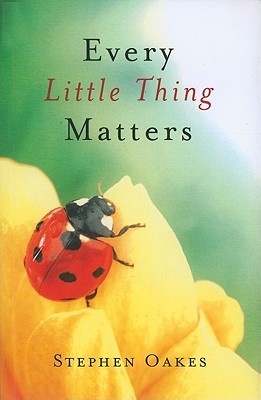Every Little Thing Matters by Stephen Oakes