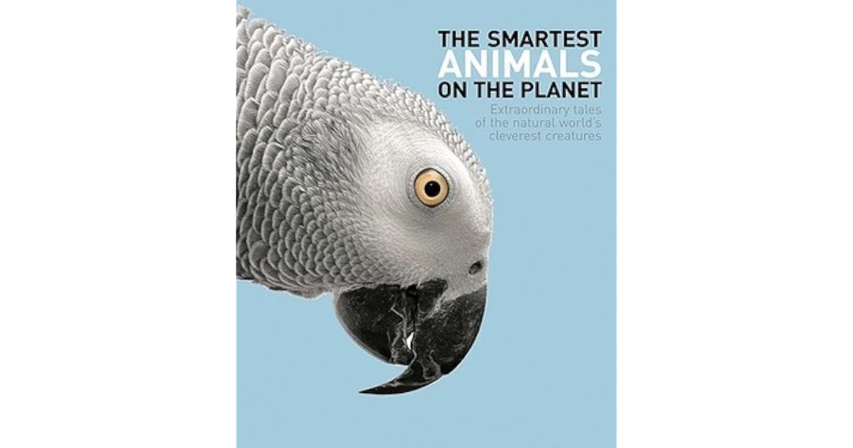 The Smartest Animals on the Planet: Extraordinary Tales of the Natural ...