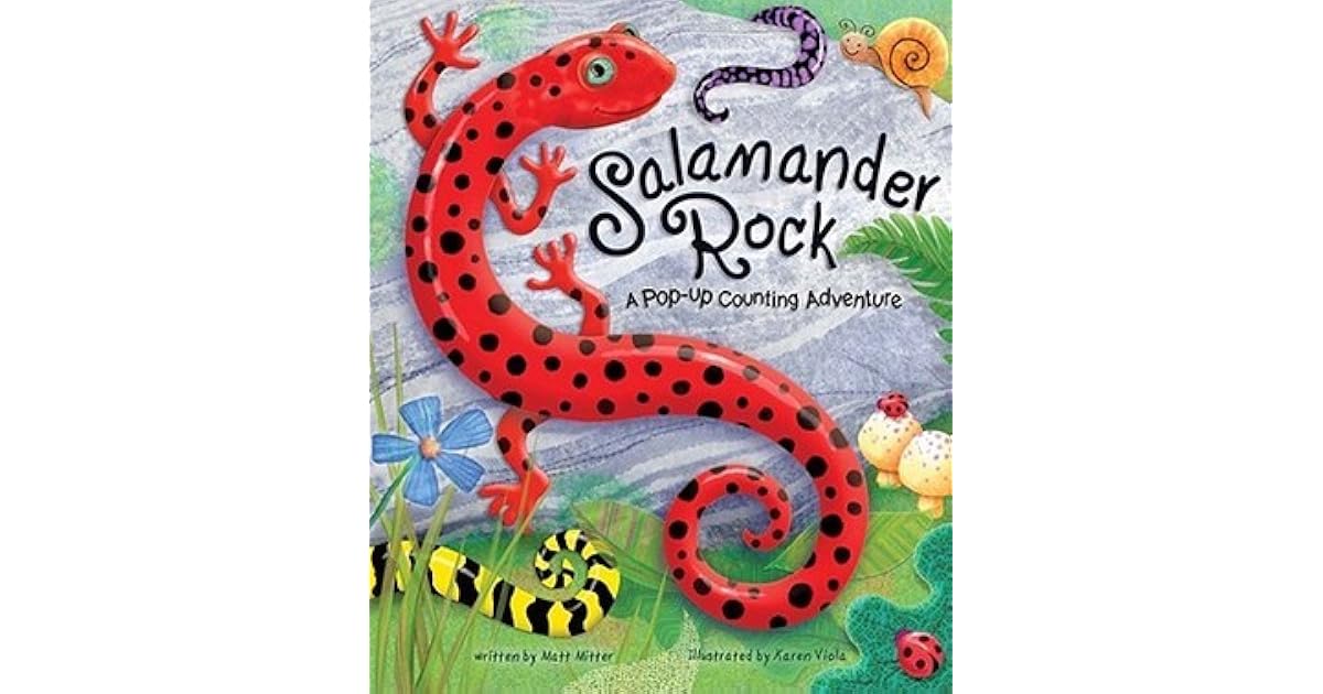 Salamander Rock: A Pop Up Counting Book by Reader's Digest Association