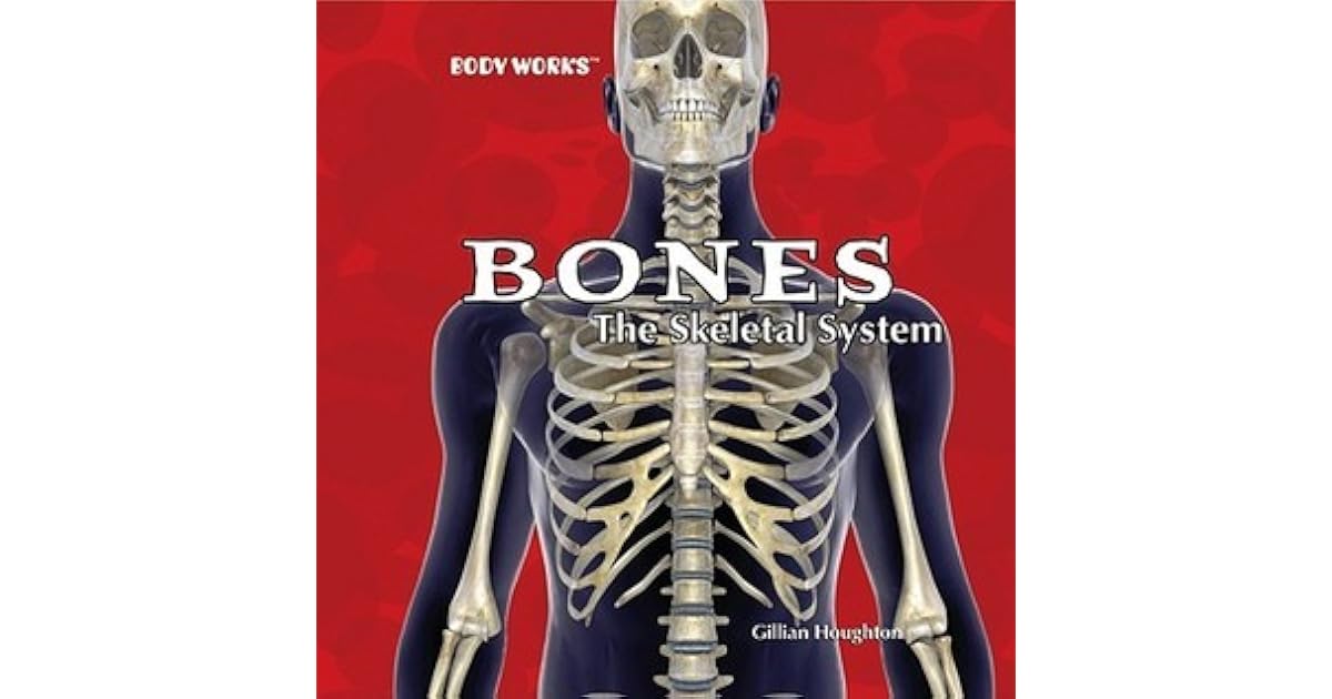 Bones: The Skeletal System by Gillian Houghton