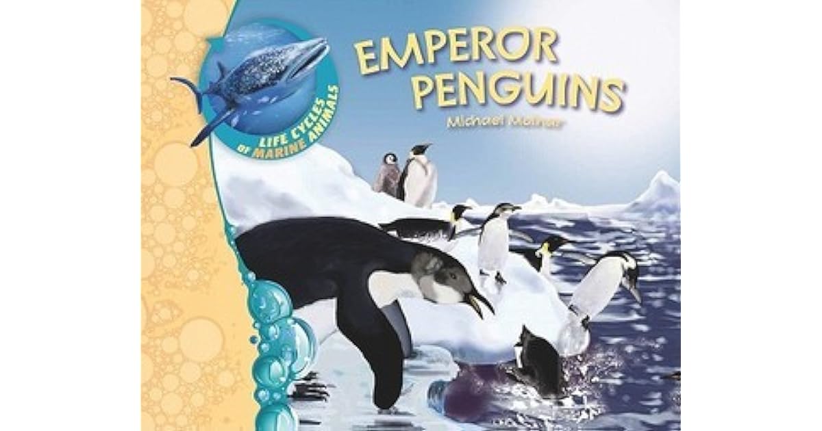 Emperor Penguins by Michael Molnar