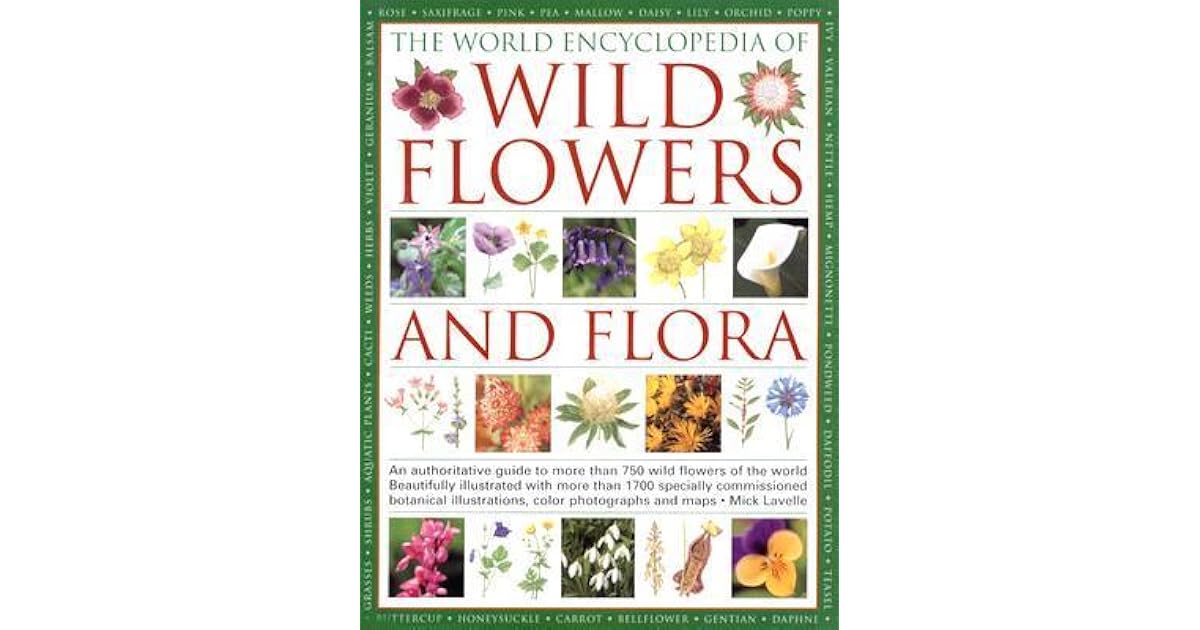 The World Encyclopedia of Wild Flowers and Flora: An Authorative Guide ...