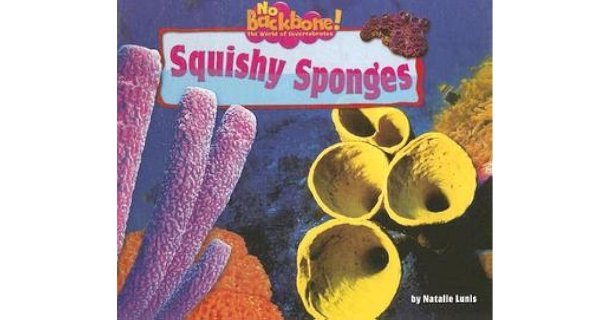Squishy Sponges by Natalie Lunis