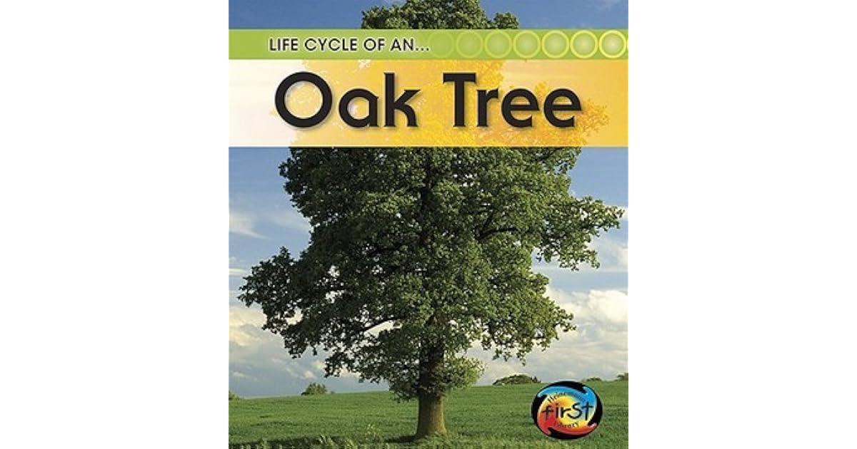 Life Cycle of an Oak Tree by Angela Royston