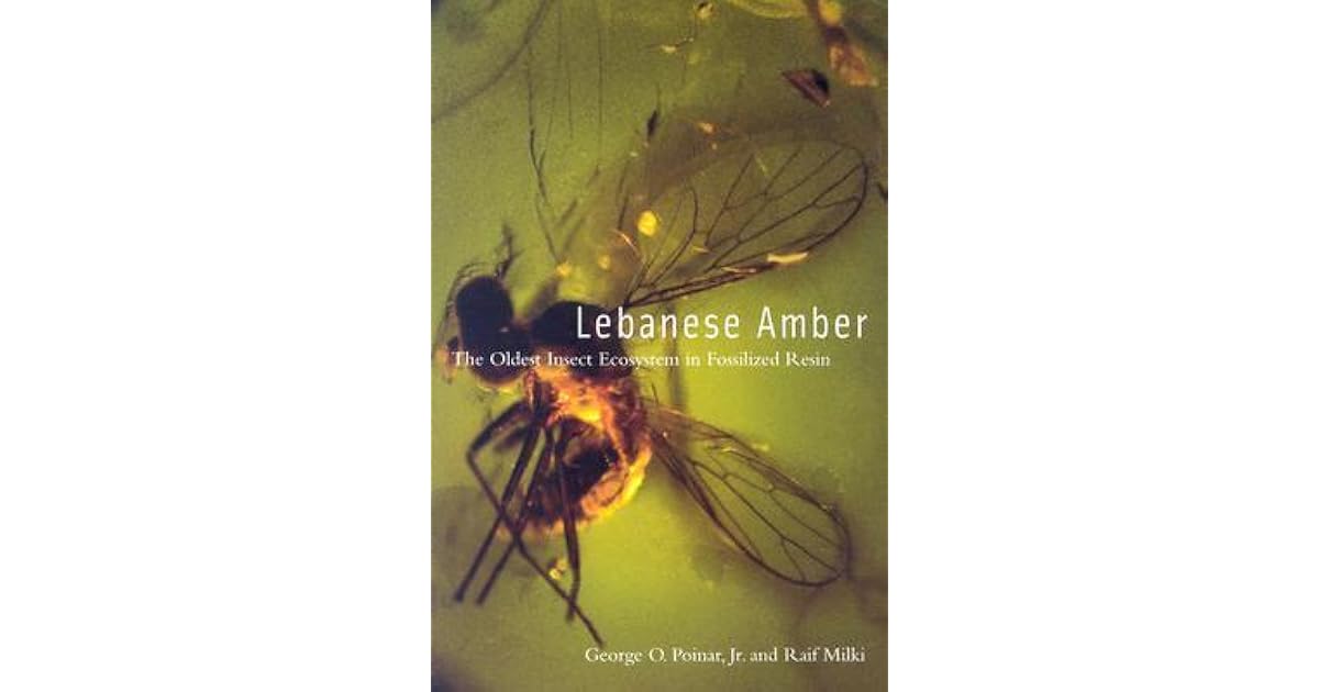Lebanese Amber: The Oldest Insect Ecosystem in Fossilized Resin by ...