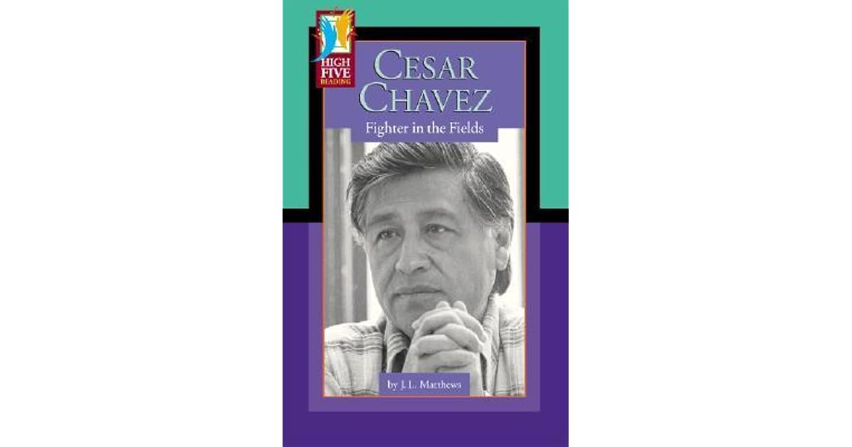 Cesar Chavez: Fighter in the Fields by J. L. Matthew