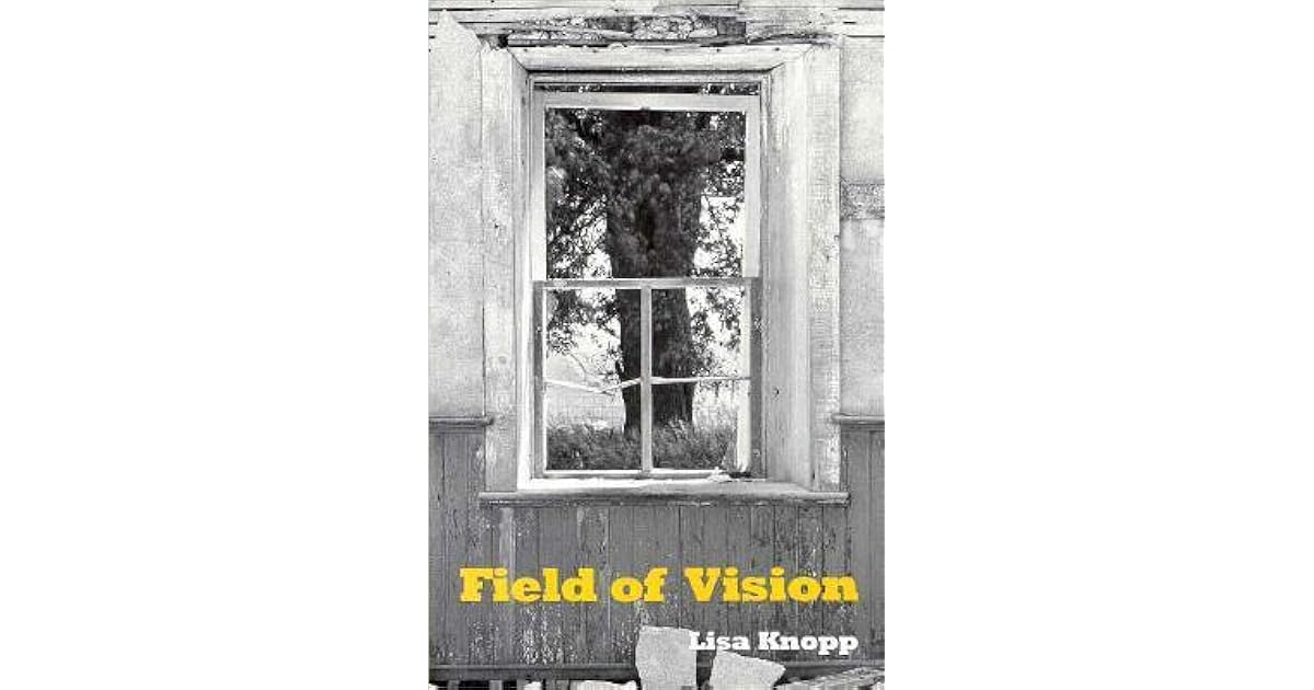 Field of Vision by Lisa Knopp
