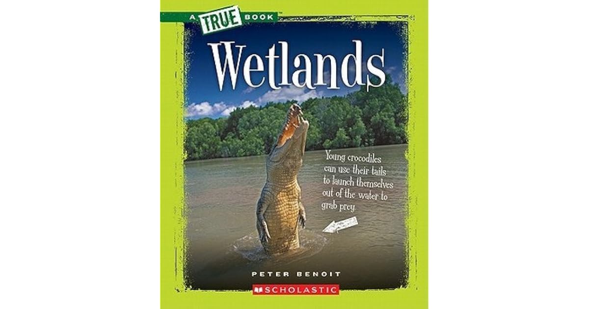 Wetlands by Peter Benoit