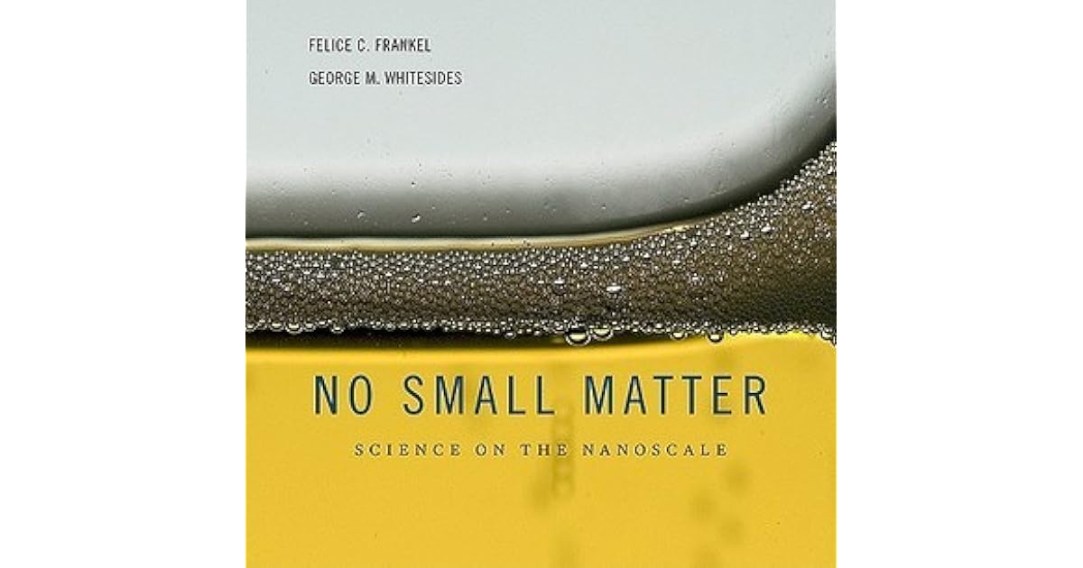 No Small Matter: Science on the Nanoscale by Felice C. Frankel