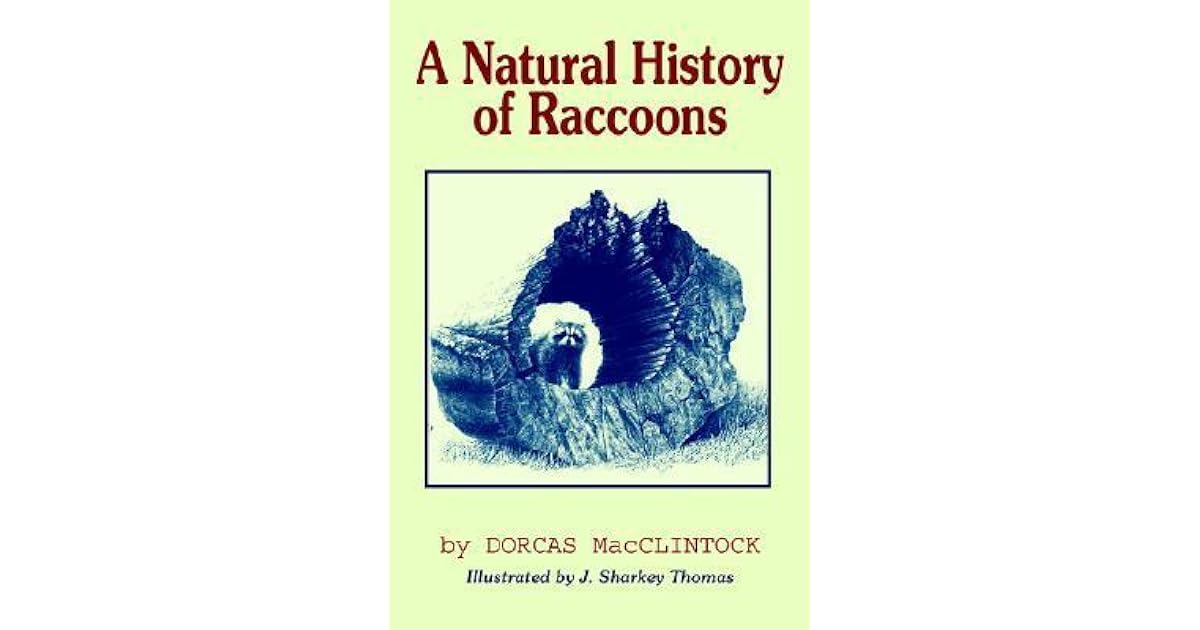 A Natural History of Raccoons by Dorcas MacClintock