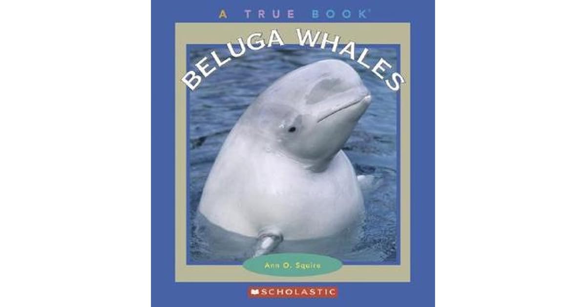 Beluga Whales by Ann O. Squire